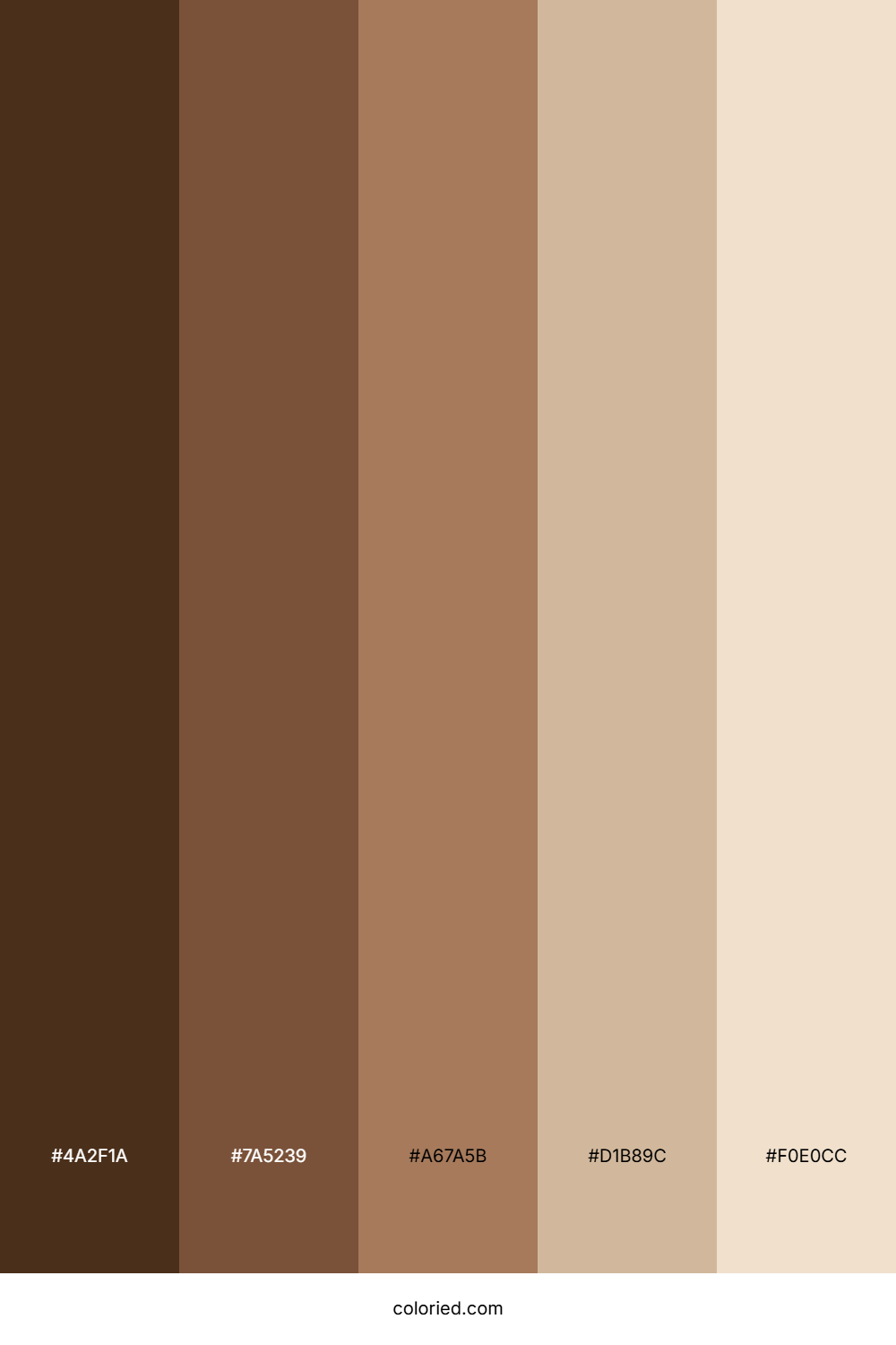 Dark Cream Color Palette