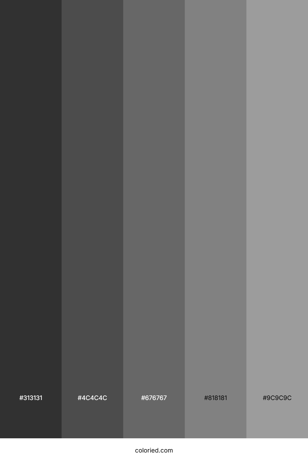 Dark Silver Color Palette