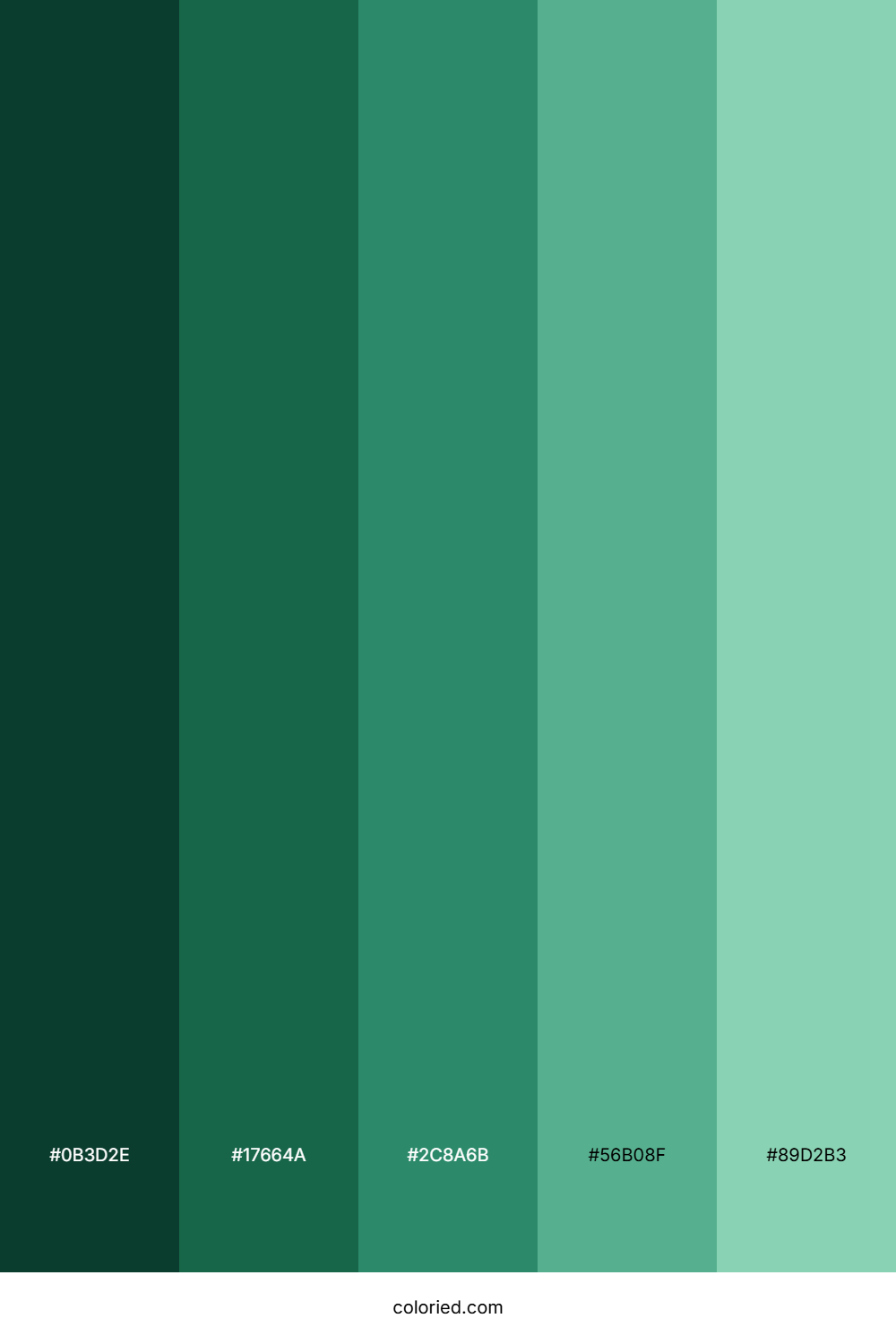 Deep Green Color Palette