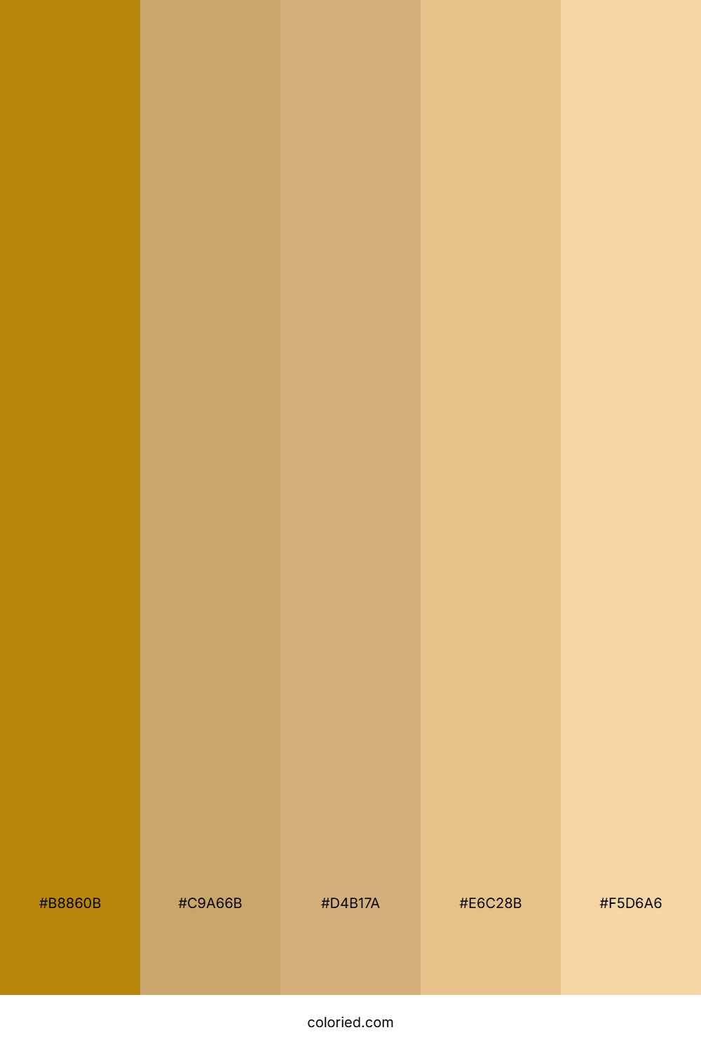 Gold Bronze Color Palette